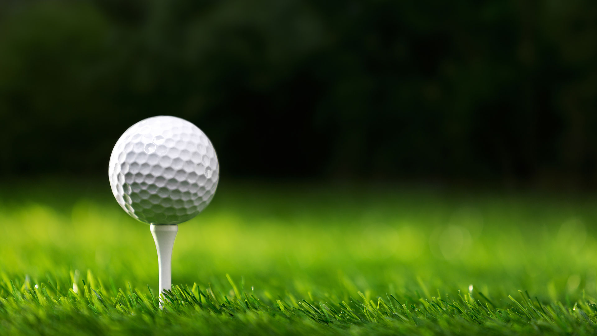 Photo Gallery | Blue Springs Golf Club